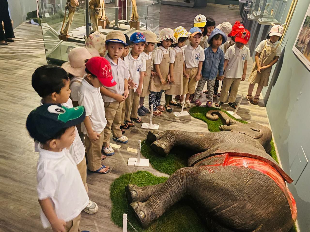 Streamline Training-Learning Centre